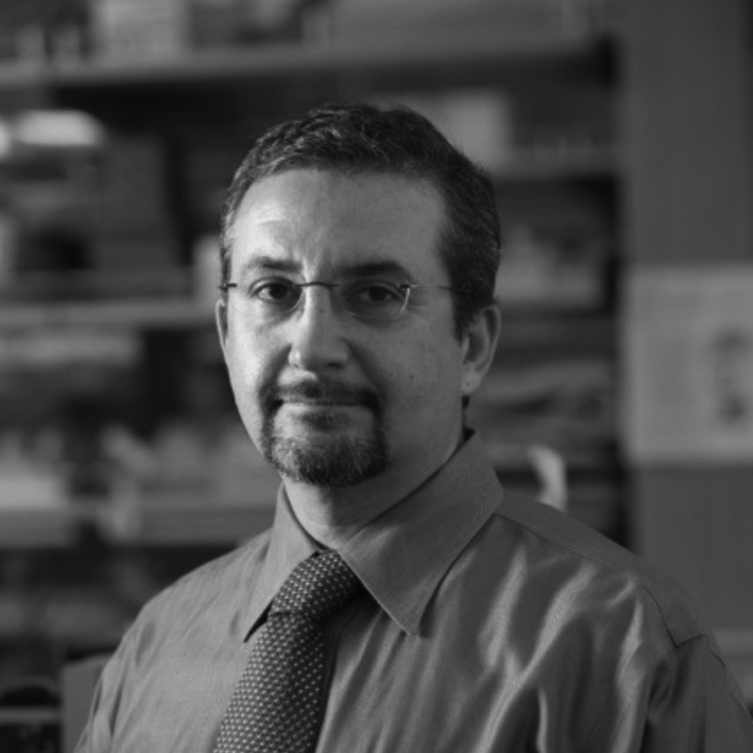 CHT BCell 2025 – Catalytic Health